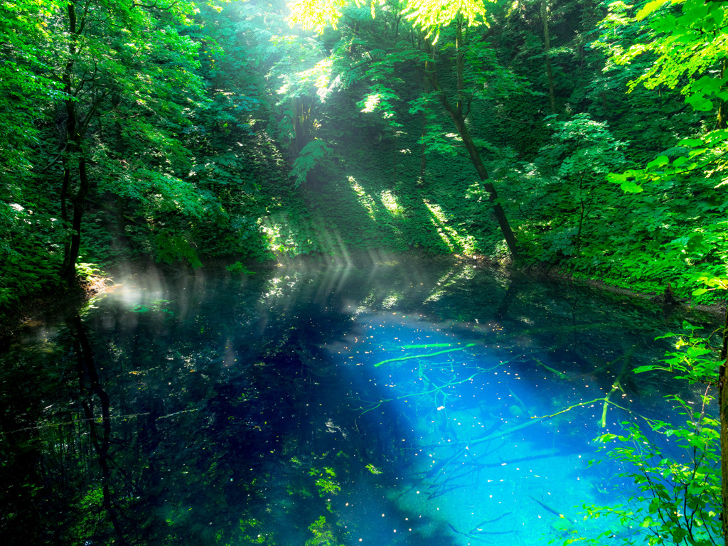 陽射しを浴びて輝く湖沼群を見に行きませんか？世界遺産白神山地「十二湖」のみどころ | キナリノ