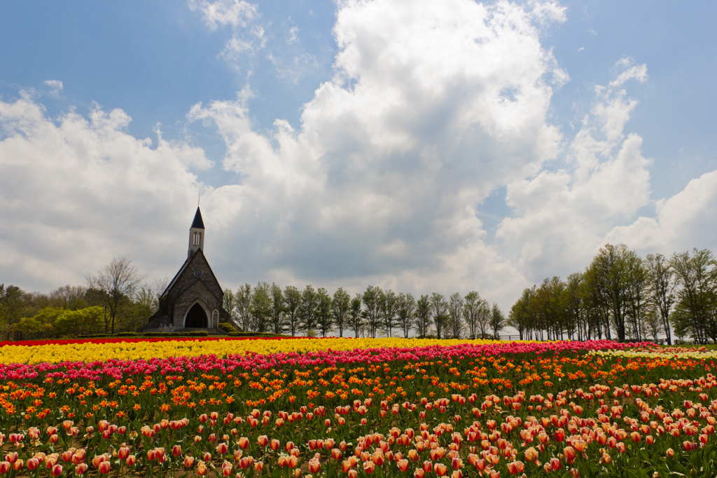 春の陽気に包まれながら。童話のような素敵な風景を見に行こう！東海地方のチューリップ畑 | キナリノ